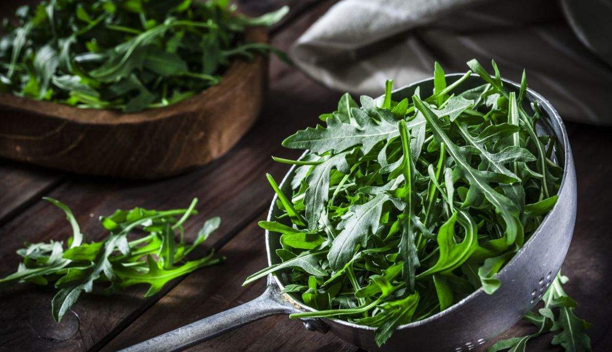 El secreto de la rúcula está en la genética