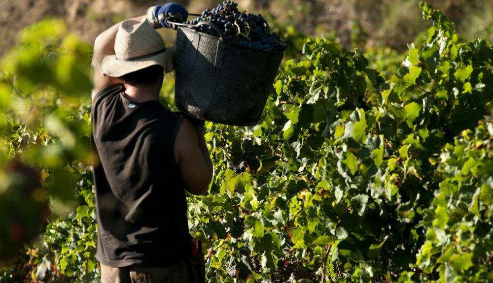 ¿Influye el mes de nacimiento en la altura?