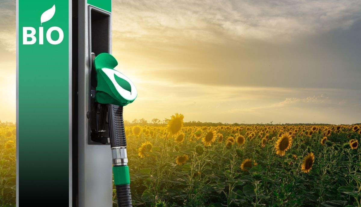 Biocombustibles y e-fuels o sintéticos, ¿en qué se diferencian? ¿Cuál ...