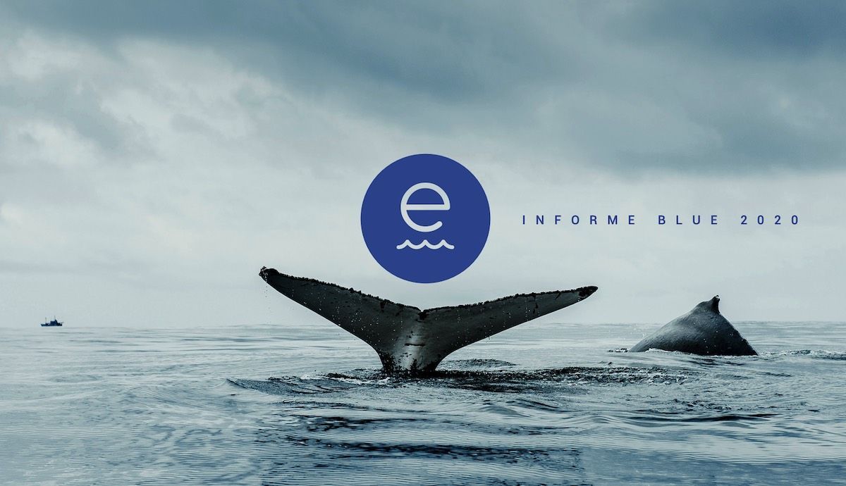 Fundación ECOMAR, 22 años formando parte de la solución